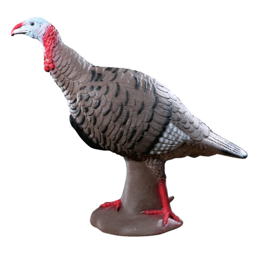 Rinehart Tom Turkey Target – Gregory Archery